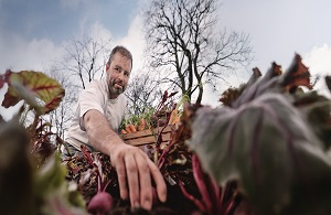 Financial Results and Financial Statements, Shareholder Information ...