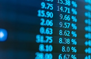 Financial Results and Financial Statements, Shareholder Information ...